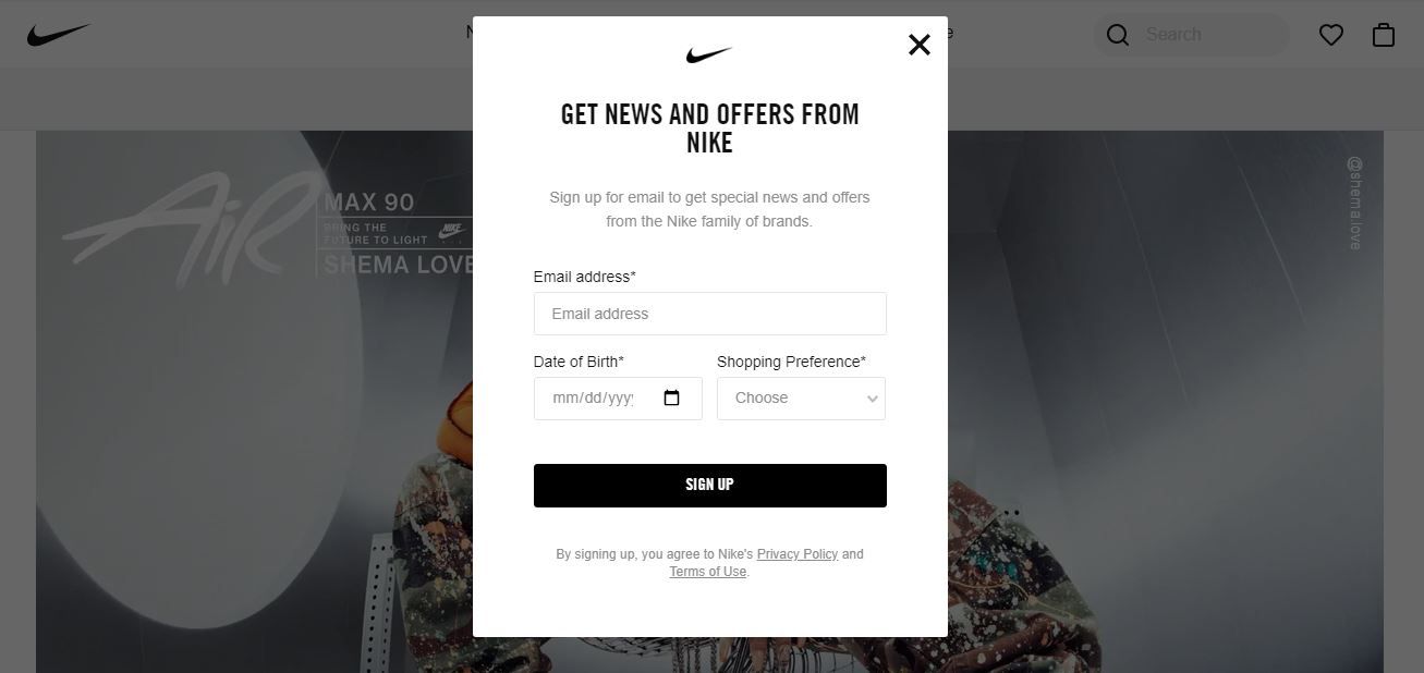 12 High-Converting Email Forms for E-Commerce