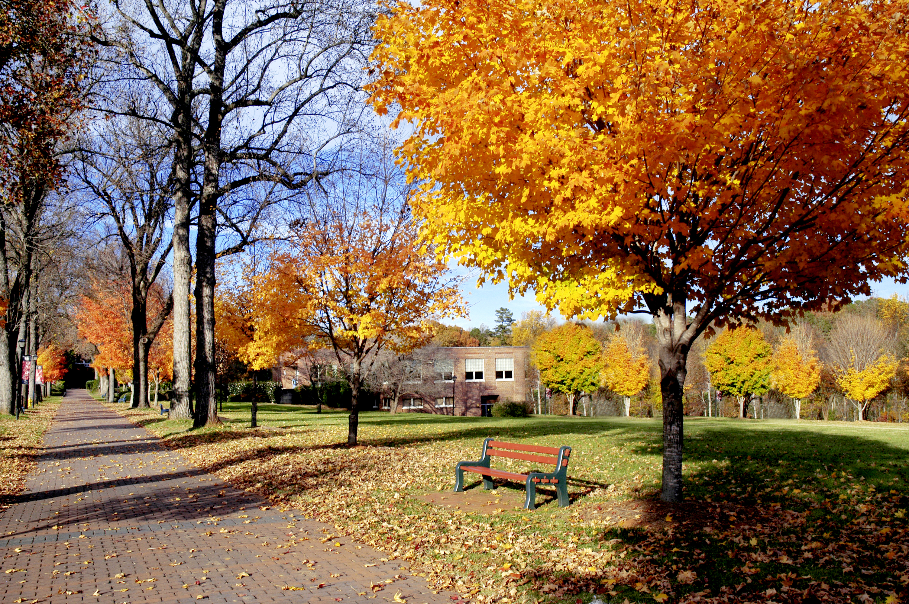 7 Tips for Planning for the Fall Return of Students