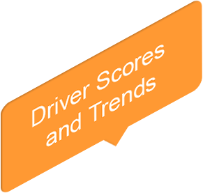 Brightmile is the leading driver safety and sustainability platform