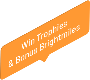 Brightmile is the leading driver safety and sustainability platform