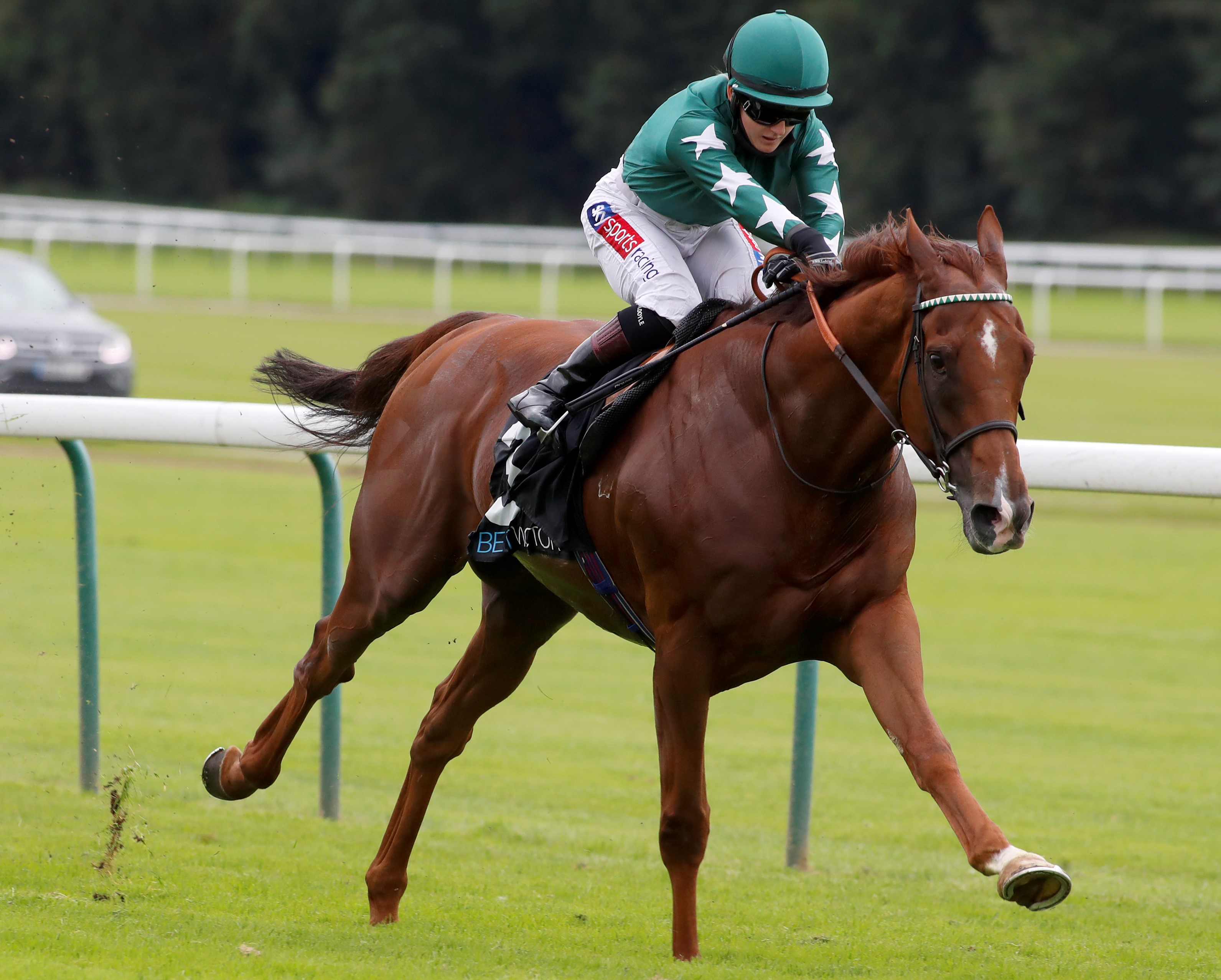 Hollie Doyle Booked for Extra Trip to Saudi - Peter Ellis Racing